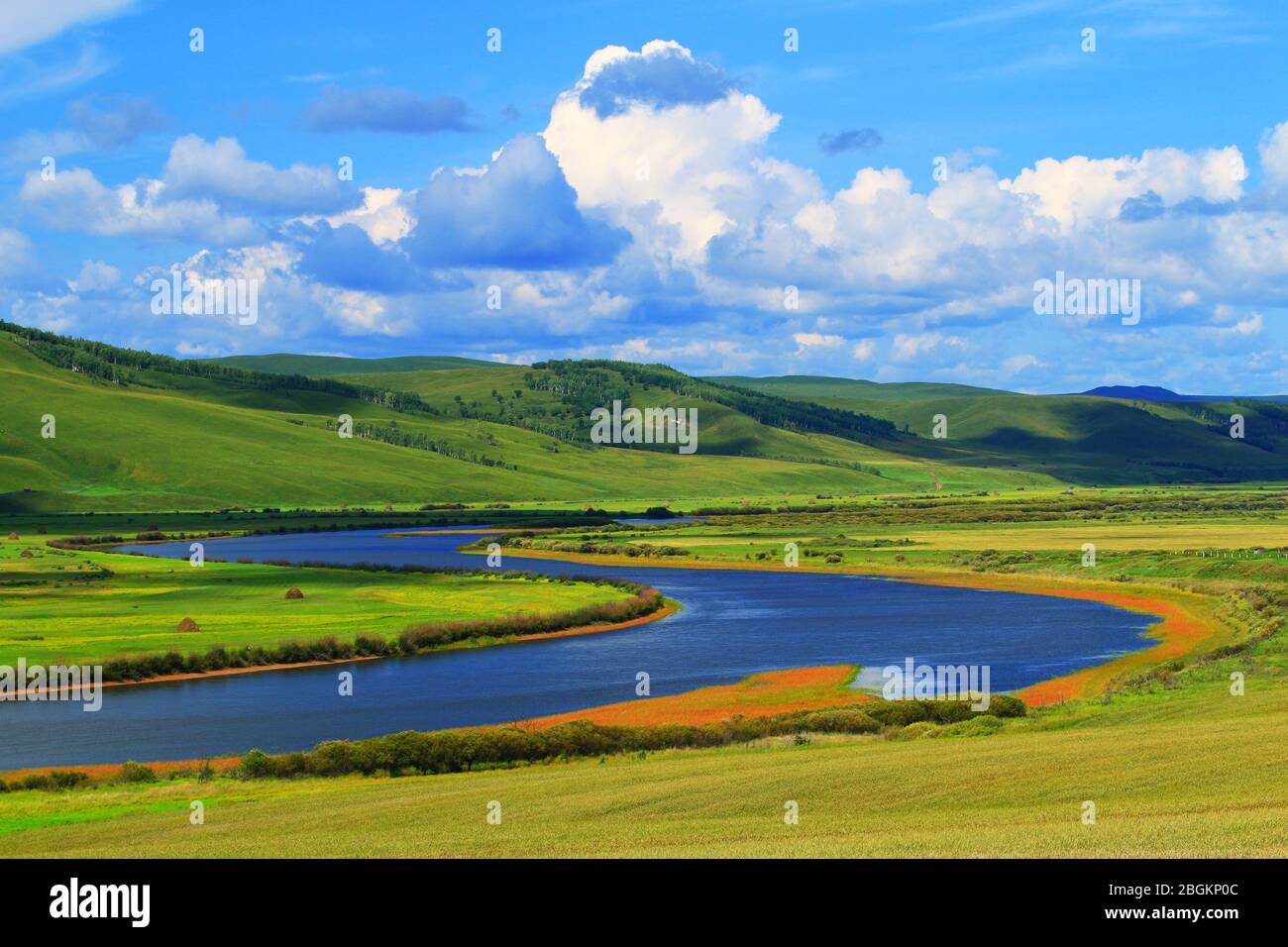 --File--View of the green grassland of Hulunbuir Prairie in Hulunbuir ...
