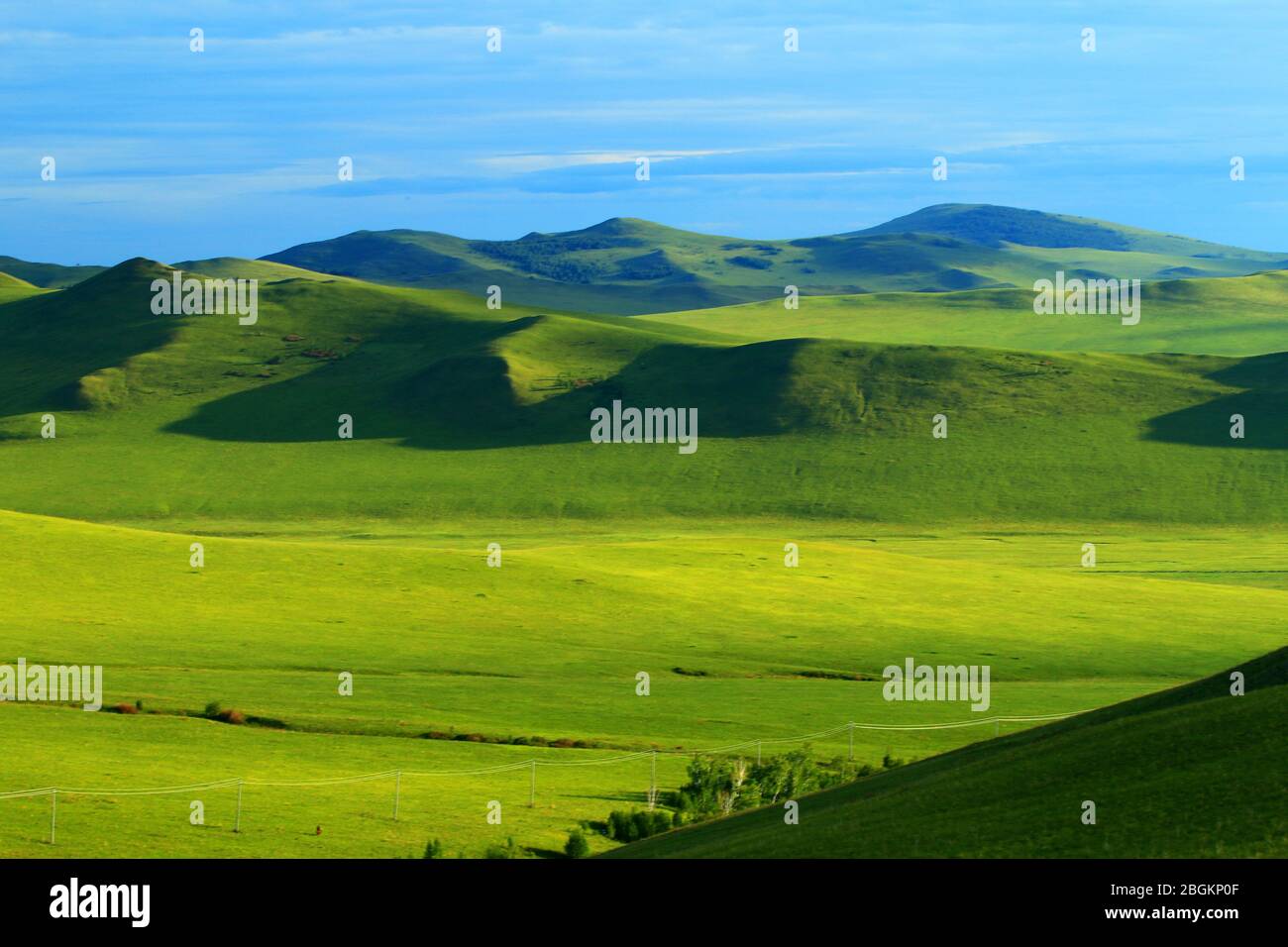 --File--View of the green grassland of Hulunbuir Prairie in Hulunbuir ...