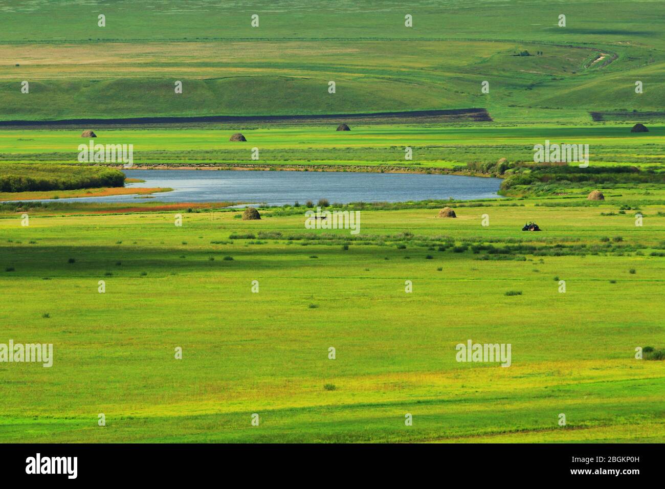 --File--View of the green grassland of Hulunbuir Prairie in Hulunbuir ...