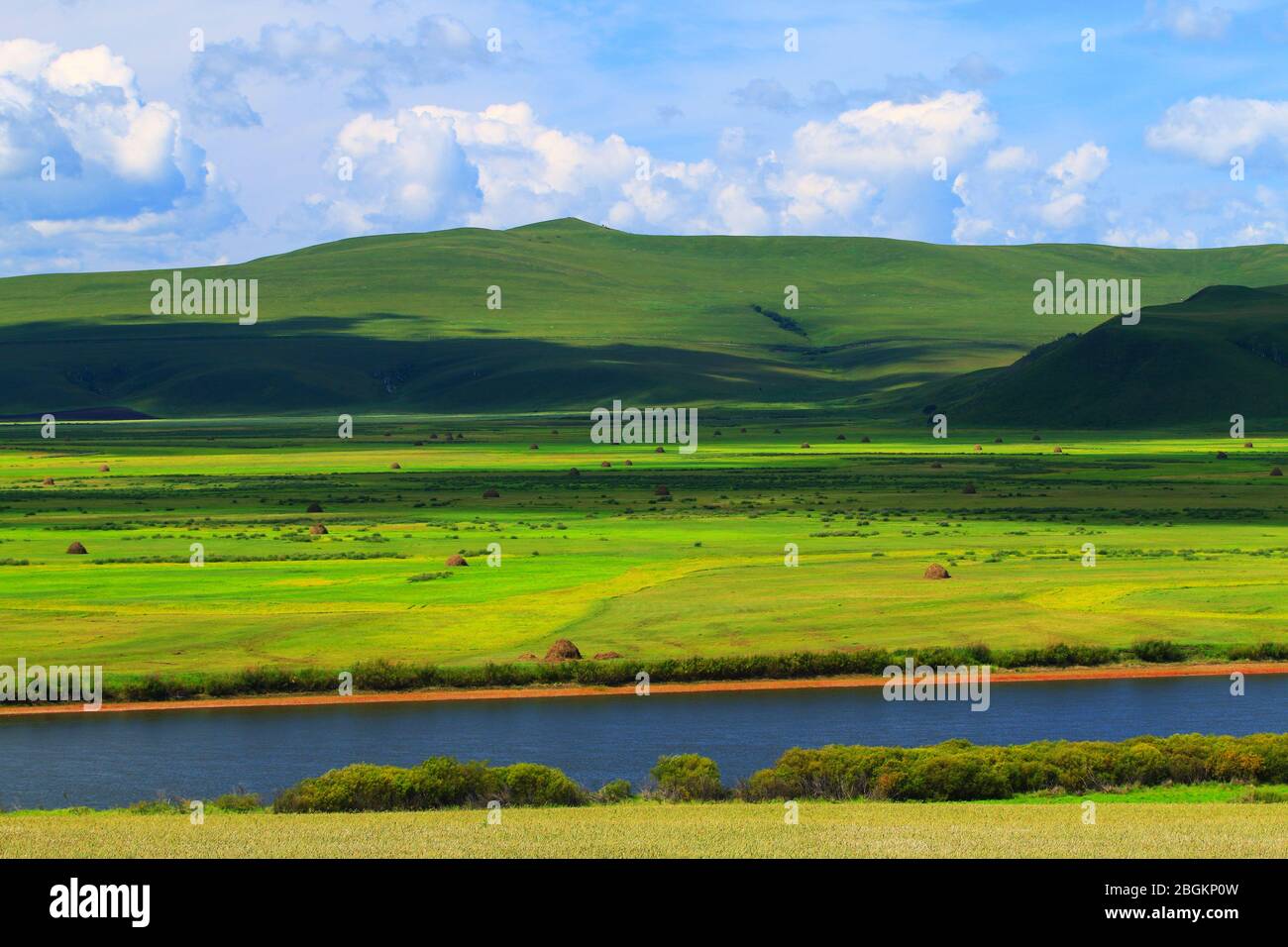 --File--View of the green grassland of Hulunbuir Prairie in Hulunbuir ...