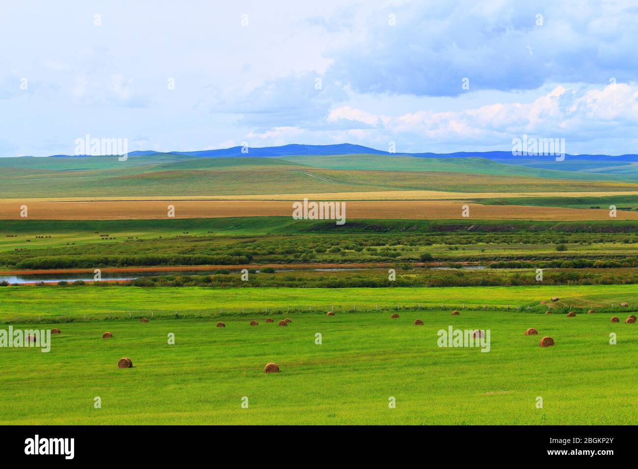 --File--View of the green grassland of Hulunbuir Prairie in Hulunbuir ...