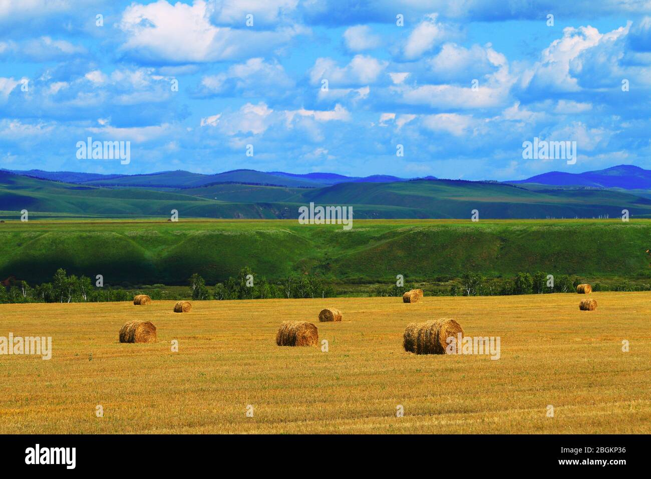 --File--View of the green grassland of Hulunbuir Prairie in Hulunbuir ...
