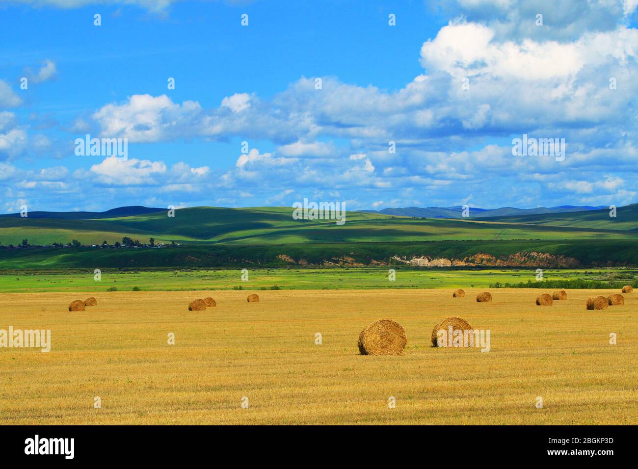 --File--View of the green grassland of Hulunbuir Prairie in Hulunbuir ...