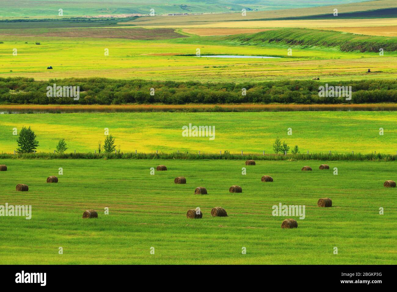 --File--View of the green grassland of Hulunbuir Prairie in Hulunbuir ...