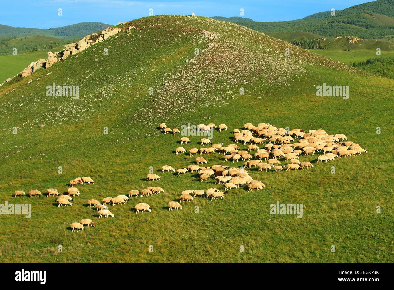 --File--View of the green grassland of Hulunbuir Prairie in Hulunbuir ...