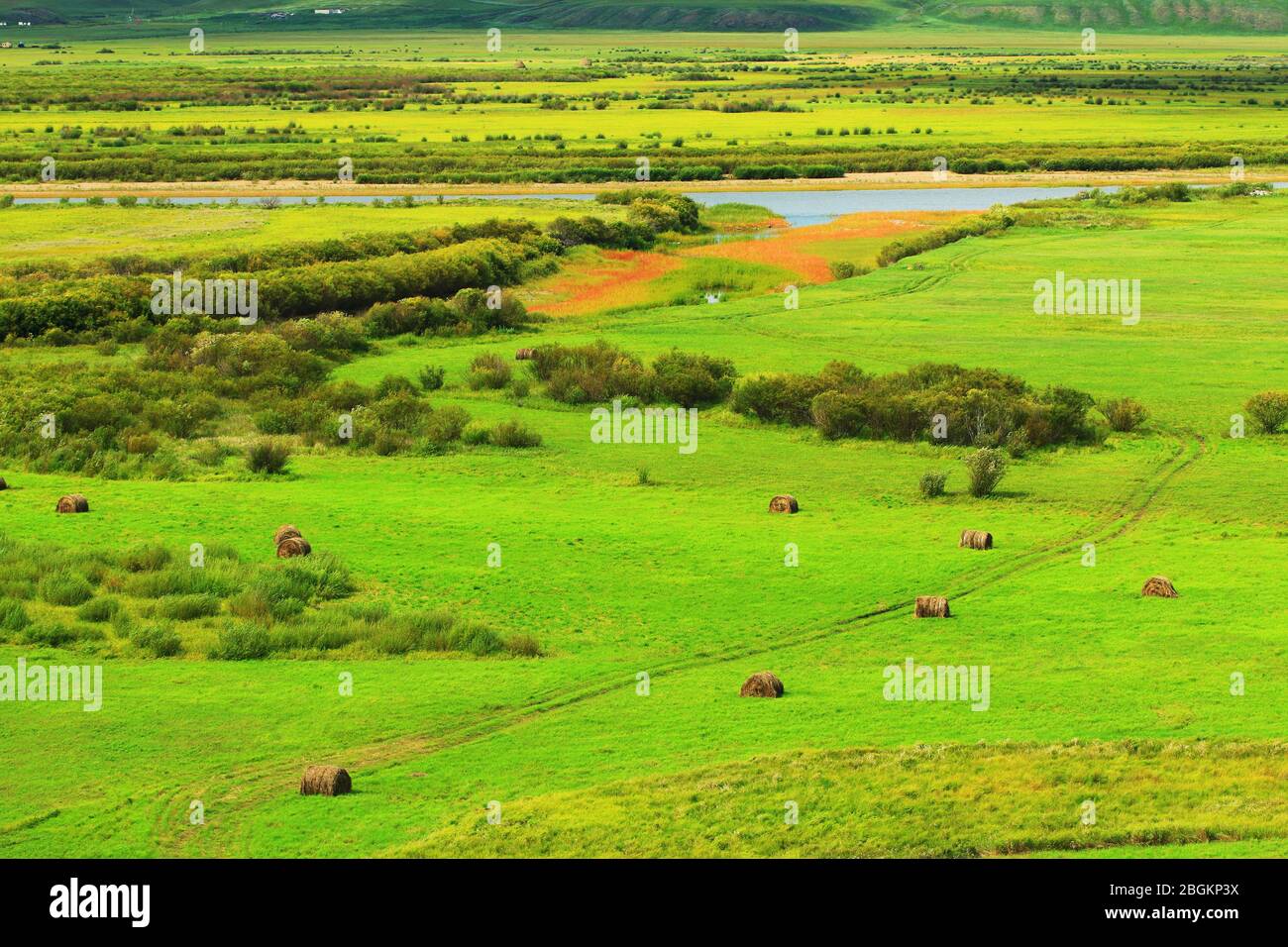 --File--View of the green grassland of Hulunbuir Prairie in Hulunbuir ...