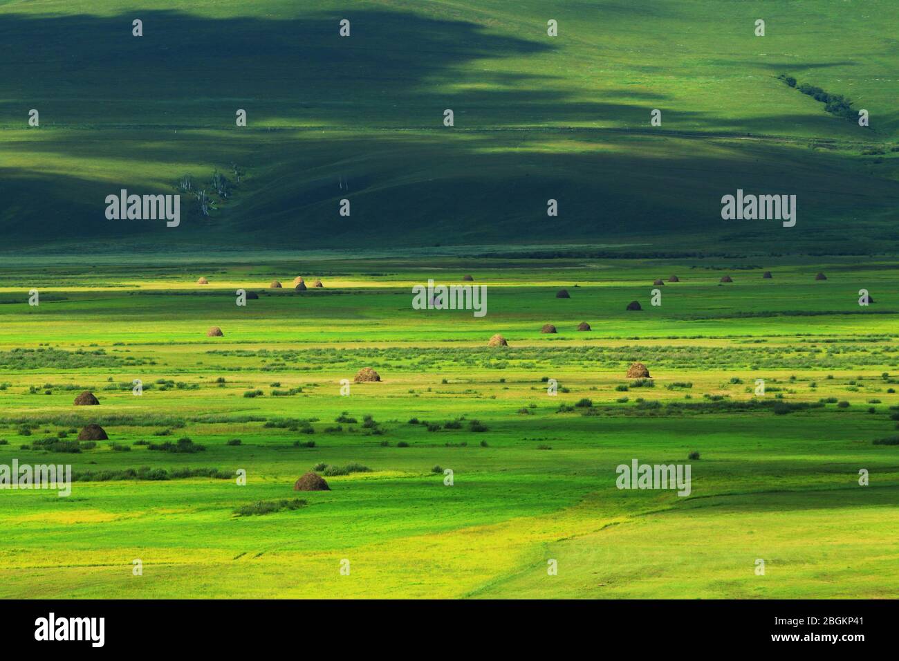 File View Of The Green Grassland Of Hulunbuir Prairie In Hulunbuir City North Chinas Inner