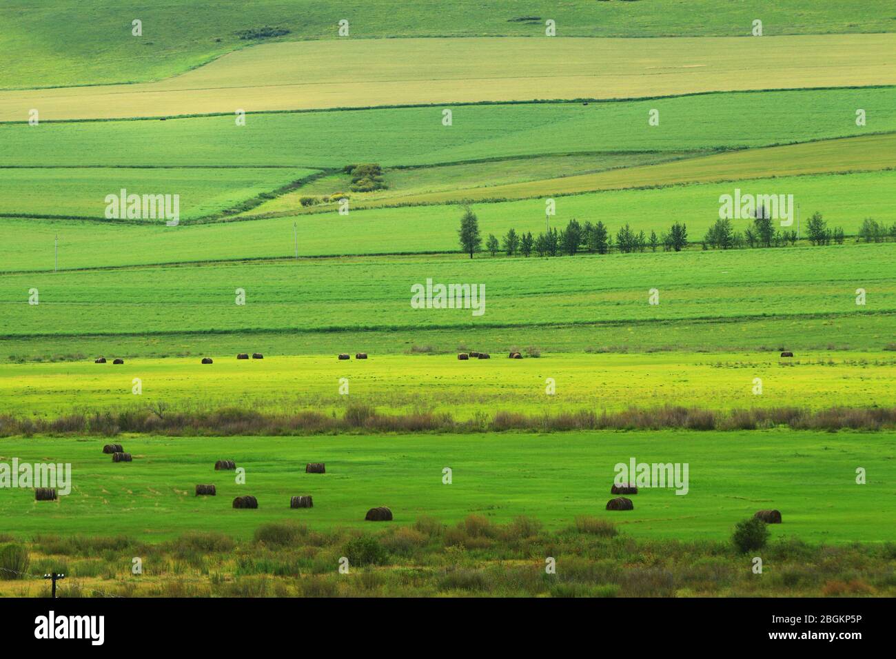 --File--View of the green grassland of Hulunbuir Prairie in Hulunbuir ...