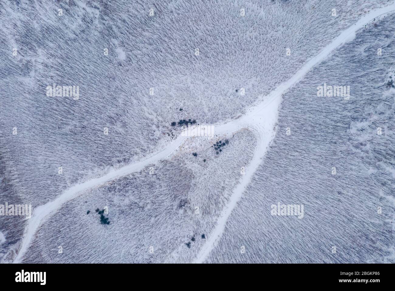 An aerial winter scenery of trees covered with rime around Xingkai Lake ...