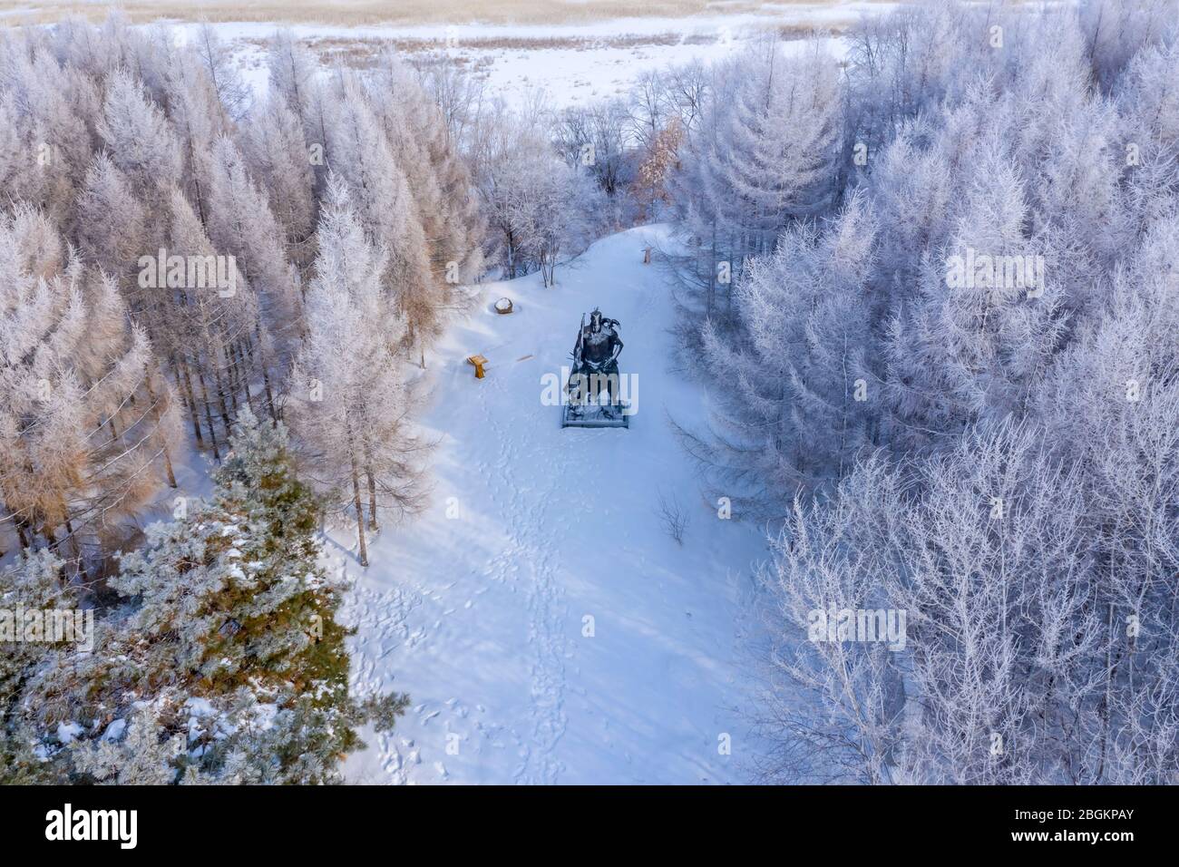 An aerial winter scenery of trees covered with rime around Xingkai Lake ...