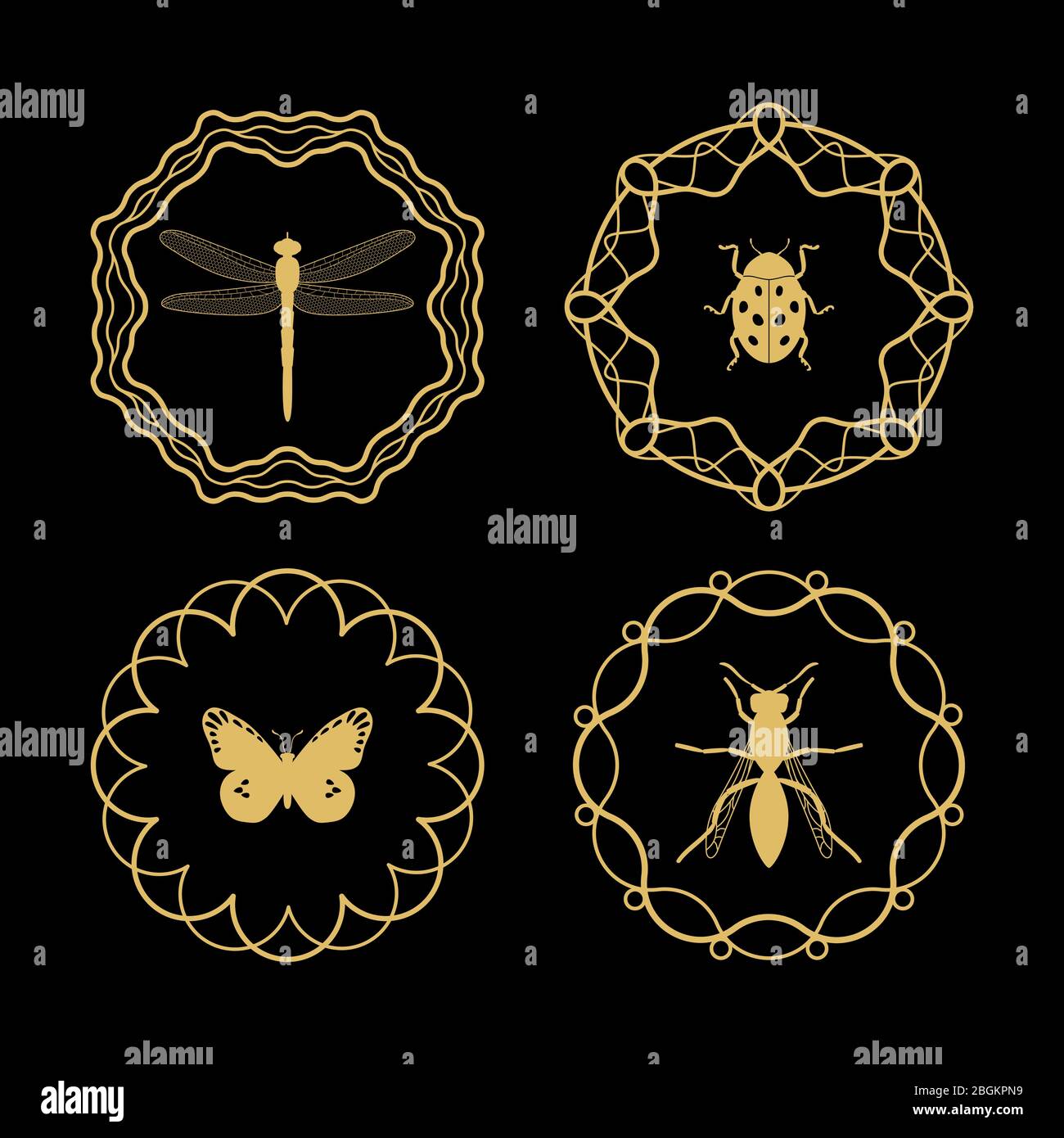 Insects hipster labels. Butterfly and dragonfly in calligraphy ...