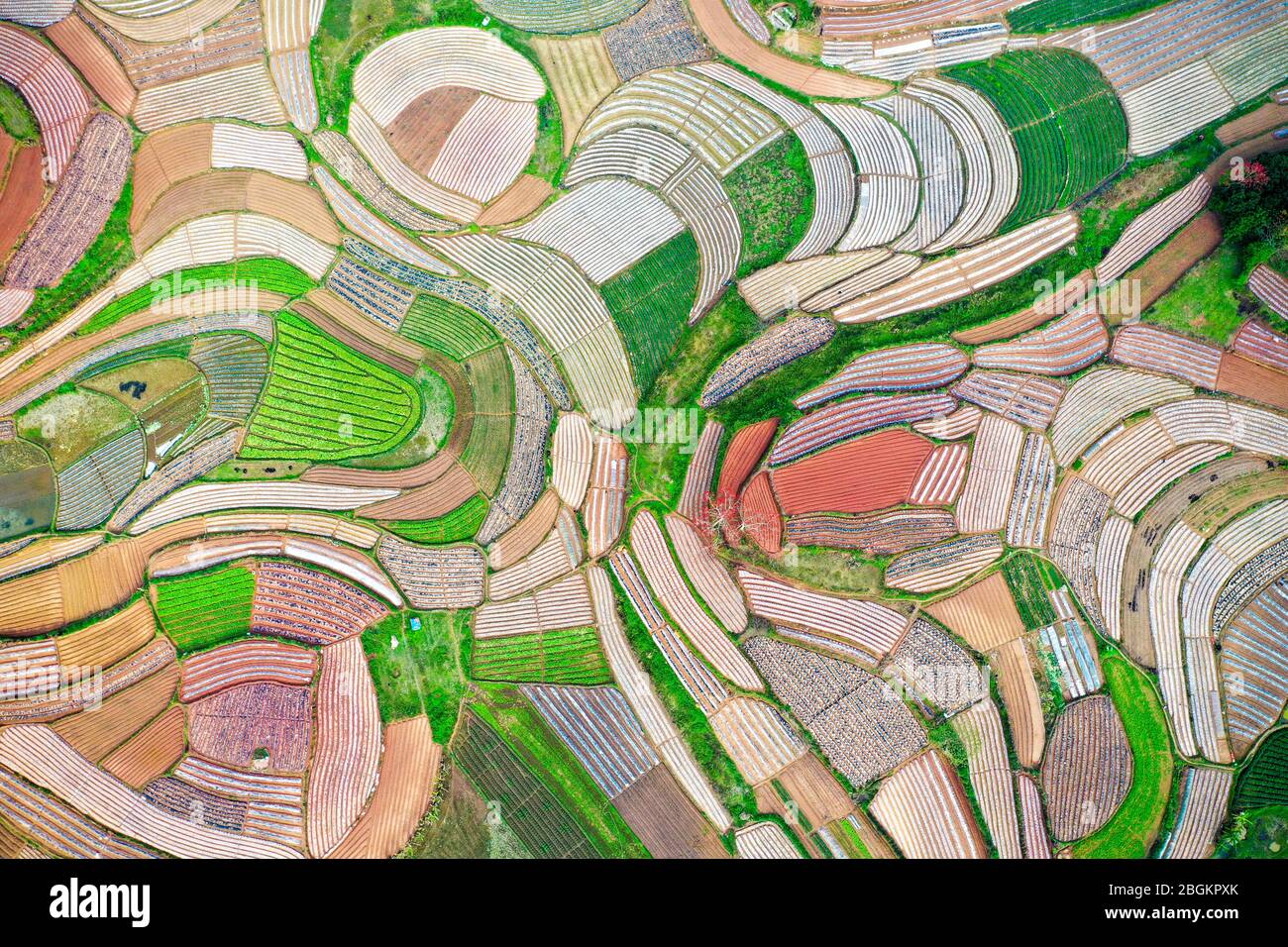 An aerial view of pastoral countryside composed of bungalows, fields ...