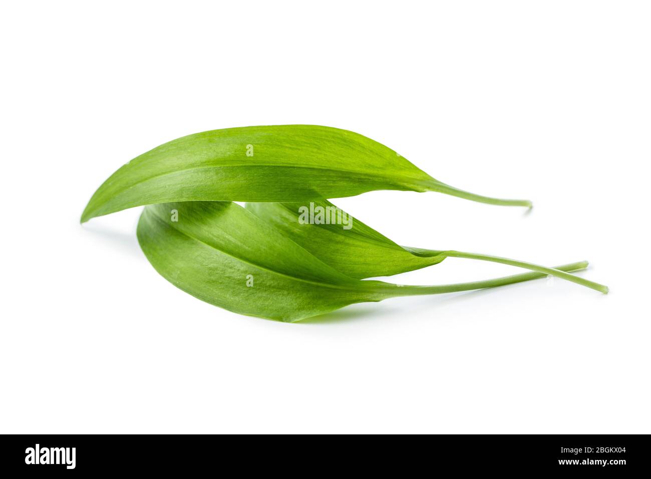 Green wild garlic leaves isolated on white background Stock Photo - Alamy