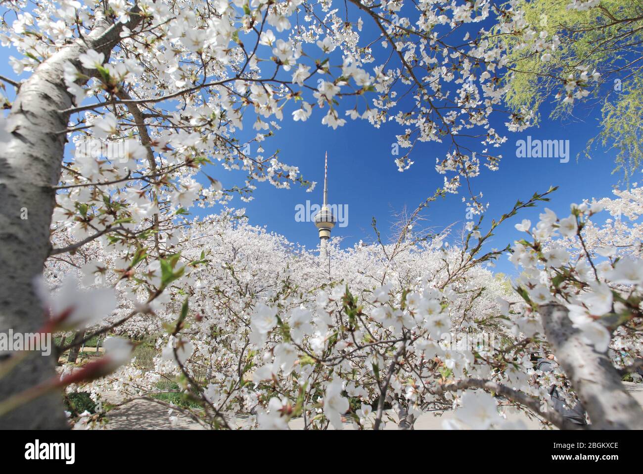 Yutan hi-res stock photography and images - Alamy
