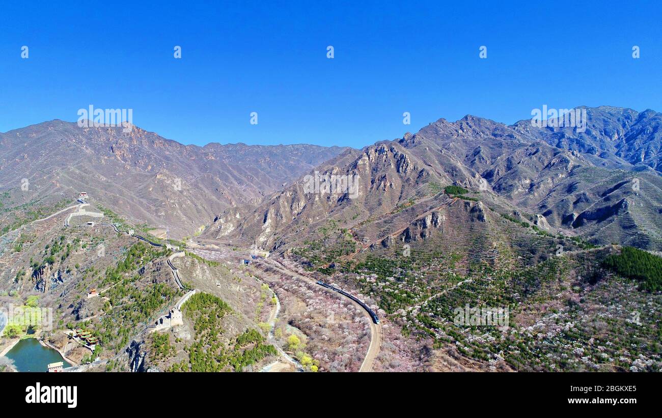 S2 high-speed train drives through a flower path under Juyong Pass, a ...