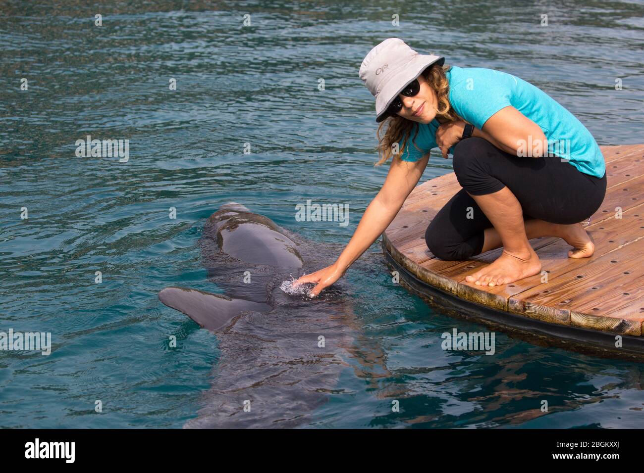 Back Scratch High Resolution Stock Photography and Images - Alamy