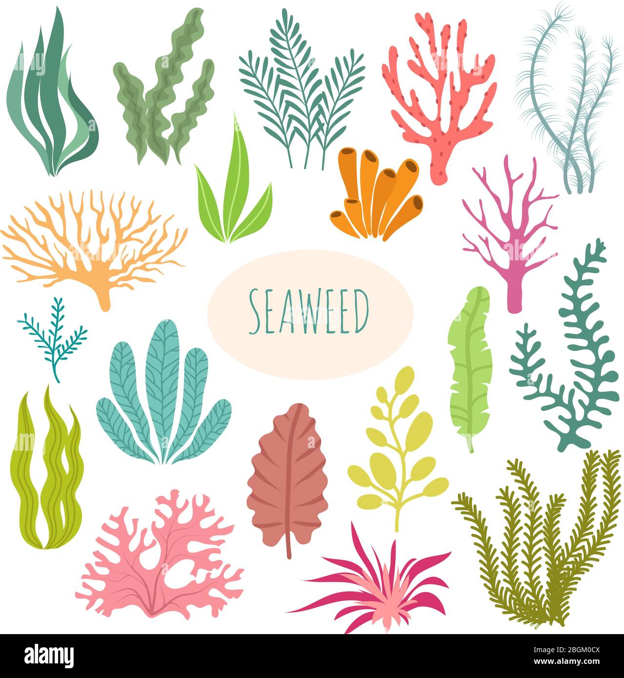 Aquatic plants and plants Stock Vector Images - Alamy
