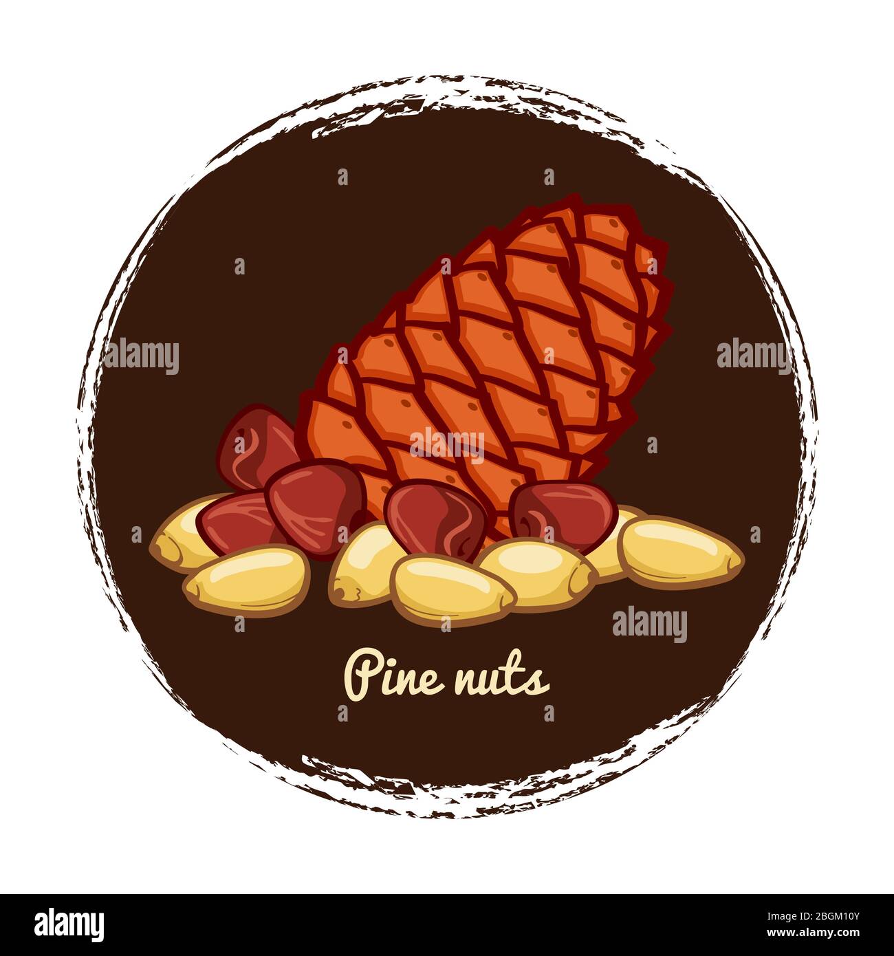Pine cone with nuts. Hand sketched pine nuts badge vector illustration ...