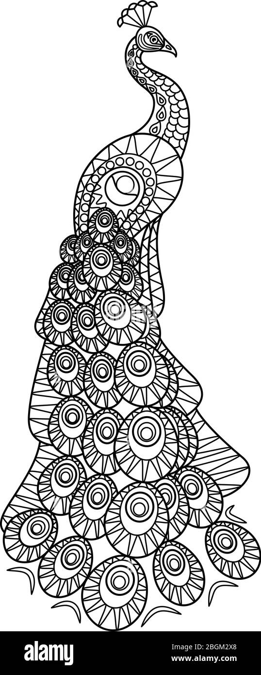 Peacock Line Drawing