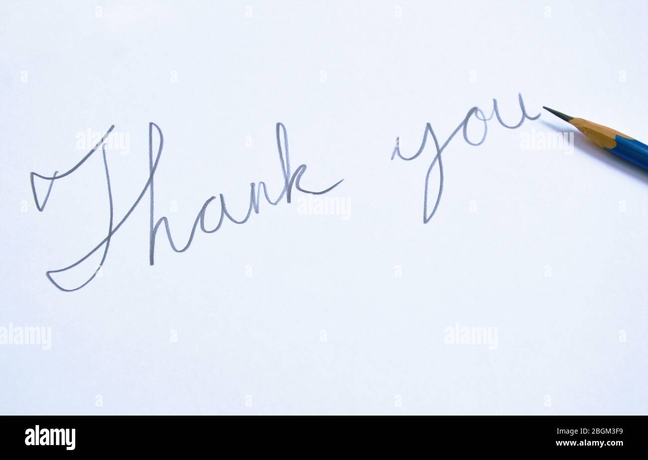 pencil write thank you word on white paper Stock Photo - Alamy