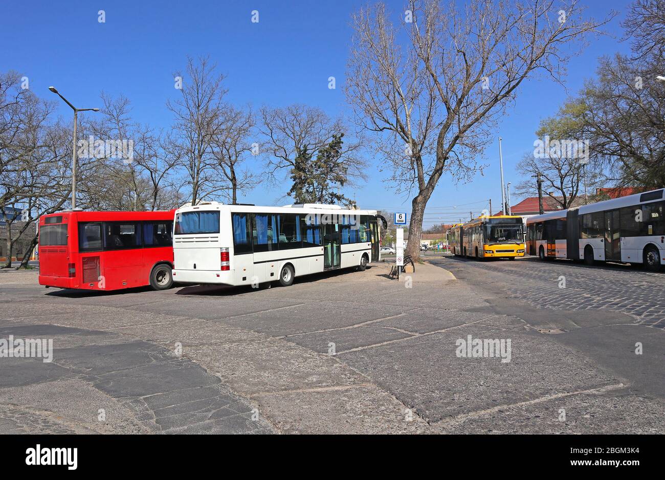 Buses standing at the terminal Stock Photo - Alamy