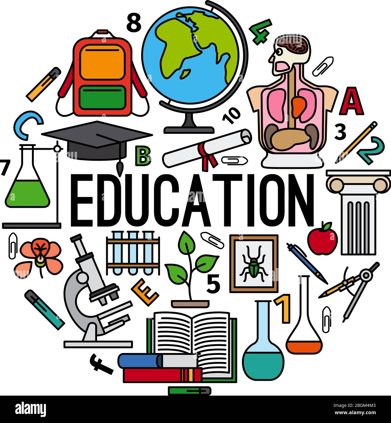Education Vector Png