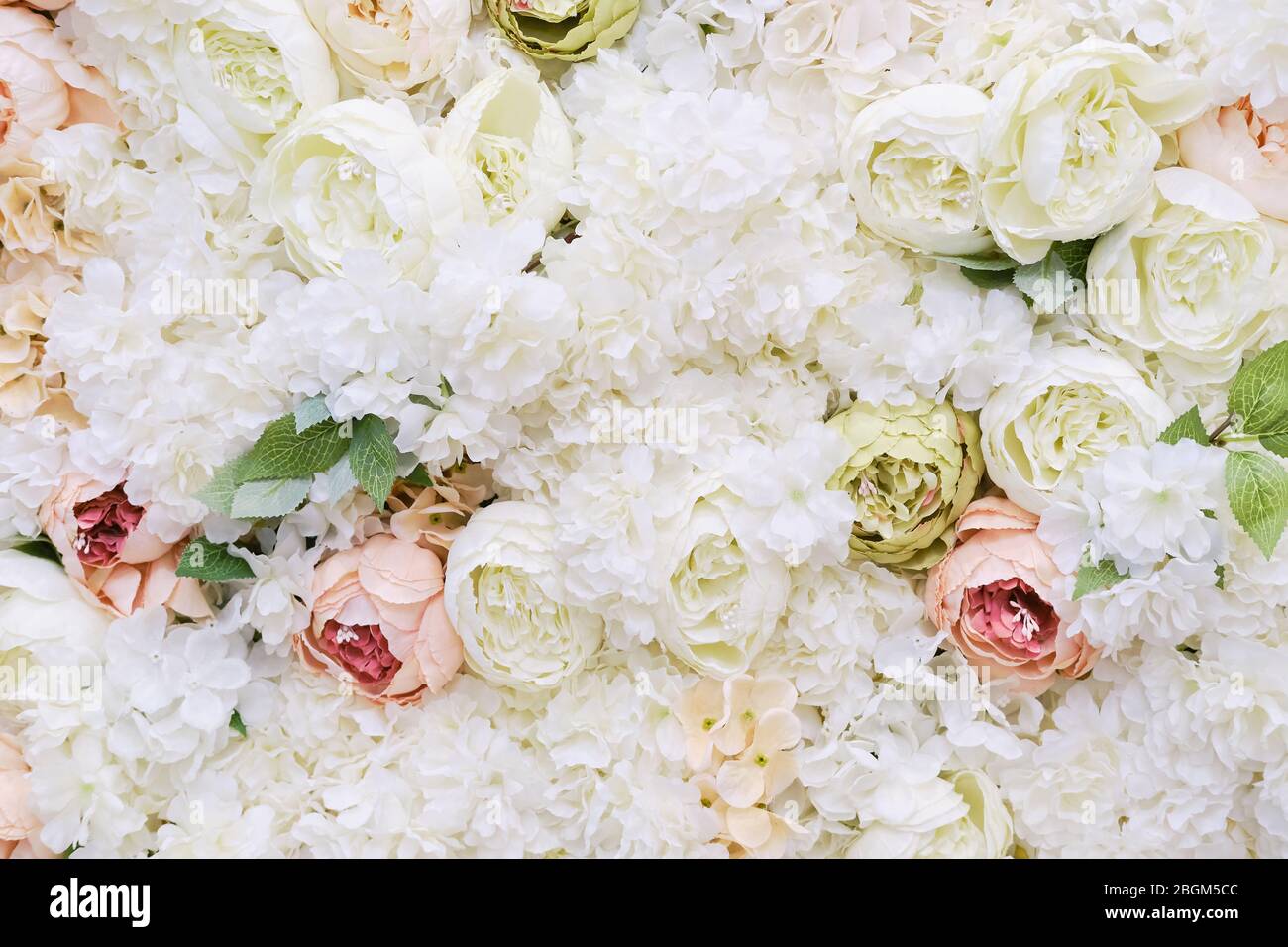 Trendy luxury pastel colored flower wall for celebrations. Holiday ...