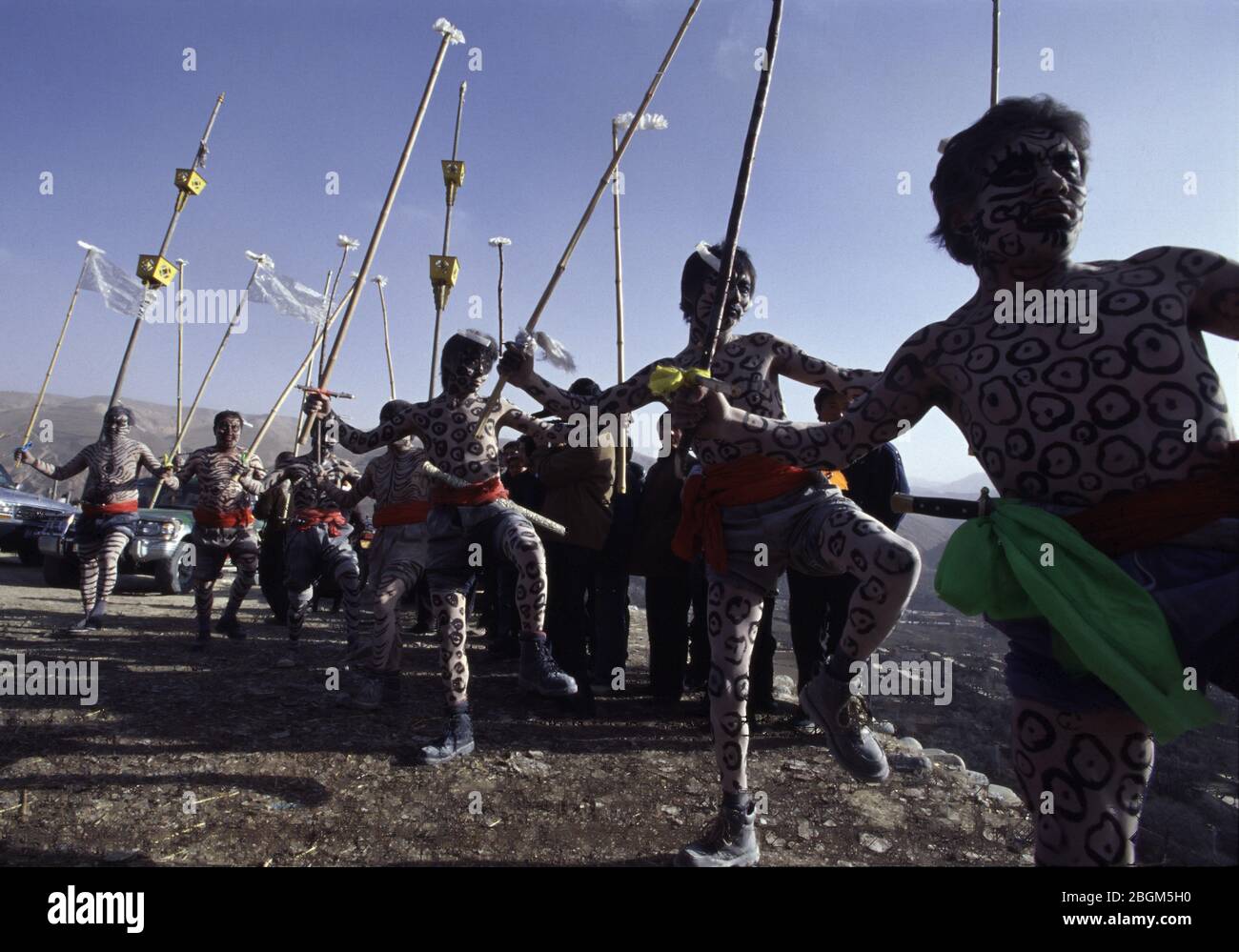 Tiger and tu hi-res stock photography and images - Alamy