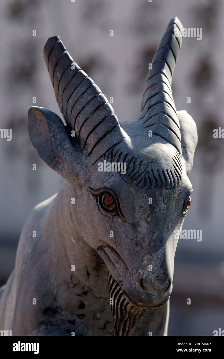 Zodiac sheep hi-res stock photography and images - Alamy