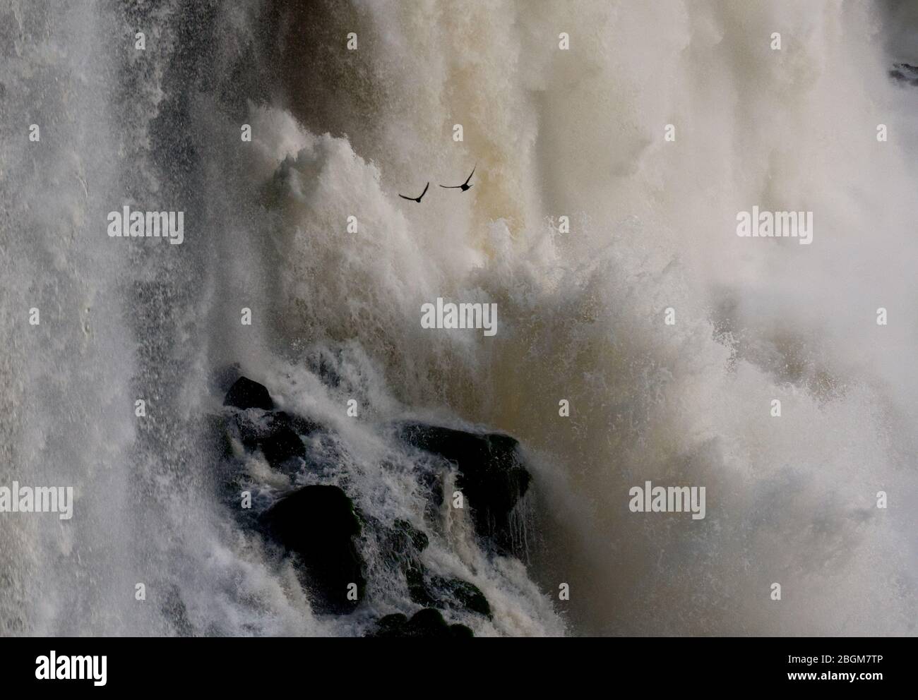 Two birds flying close to water cascading over the Devils Throat ...