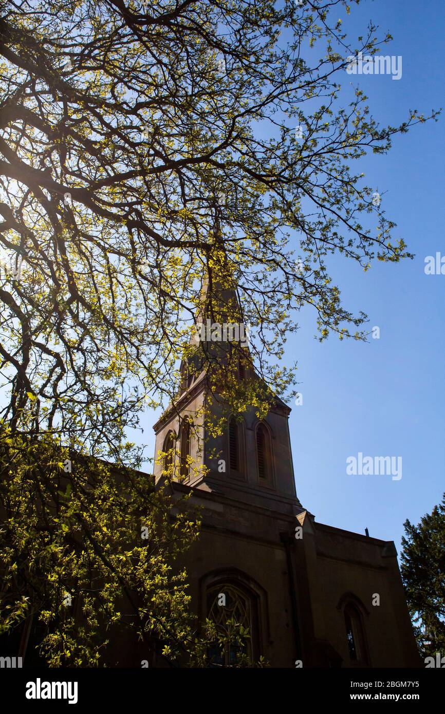 Church steeple with tree branches in foreground Stock Photo - Alamy