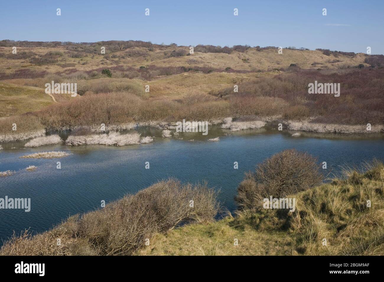 Newton pool nature reserve hi-res stock photography and images - Alamy