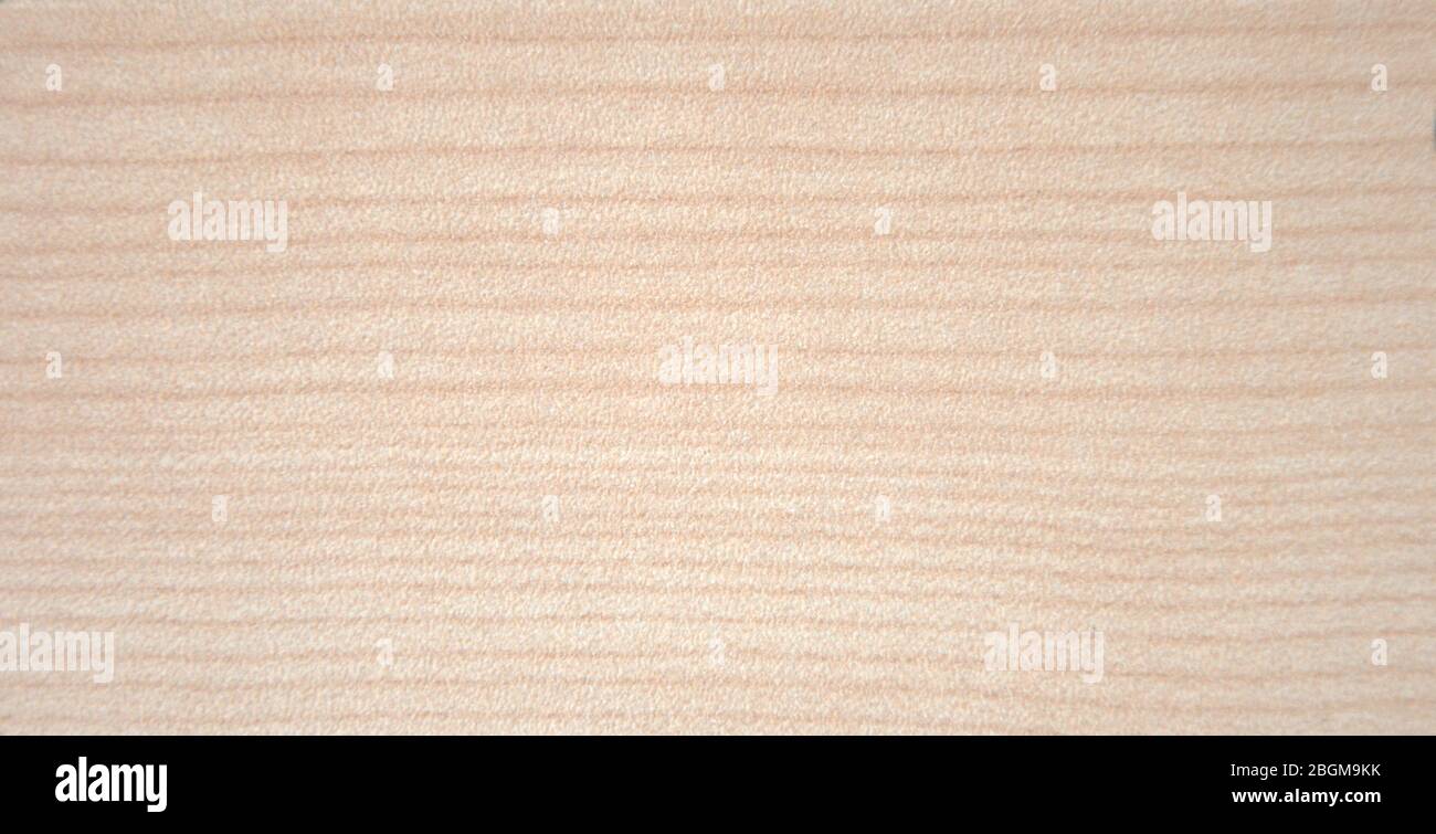 Natural pine, light wood texture on a cut closeup. Background Stock ...