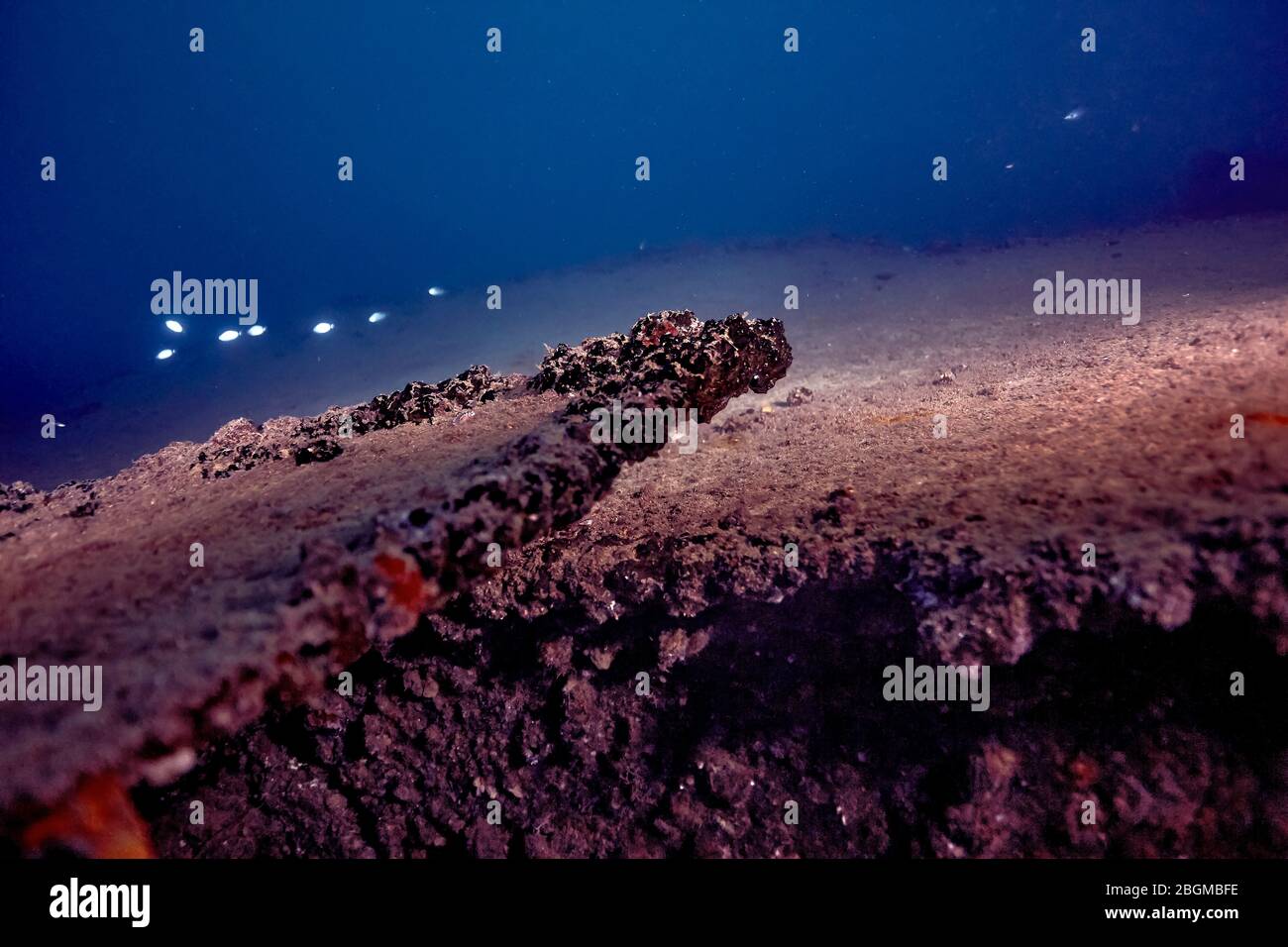 Drowned shipwreck 15 meters depth Jounieh gulf Lebanon Stock Photo - Alamy