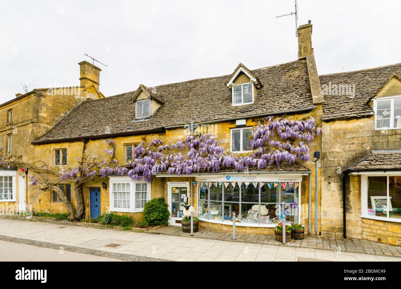 Roadside shops, local style, and wisteria in flower in High Street ...