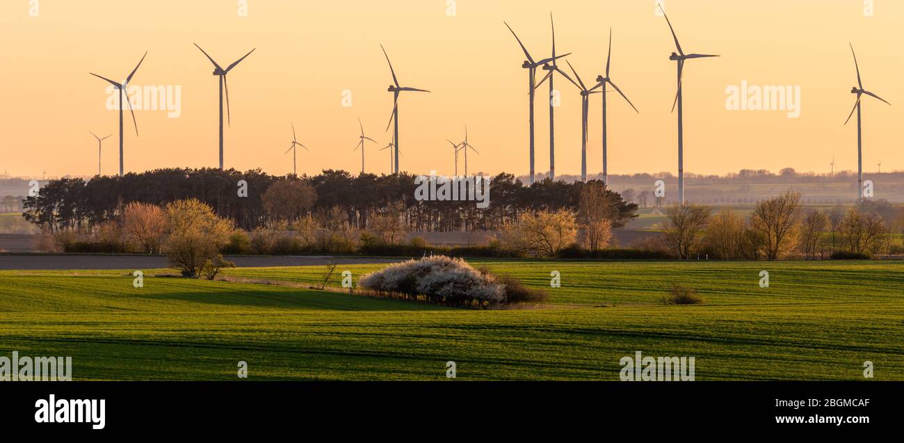 Spring in germany hi-res stock photography and images - Alamy