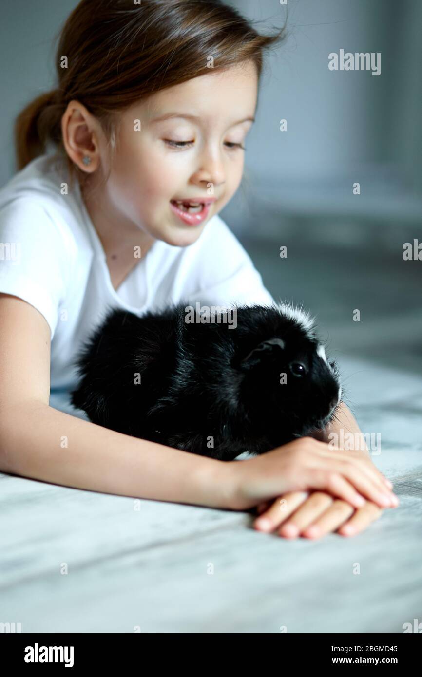 Portrait of happy smiling little girl hugging black guinea pig ...