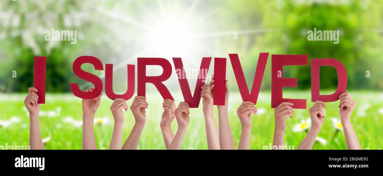 People Hands Holding Word I Survived, Grass Meadow Stock Photo - Alamy