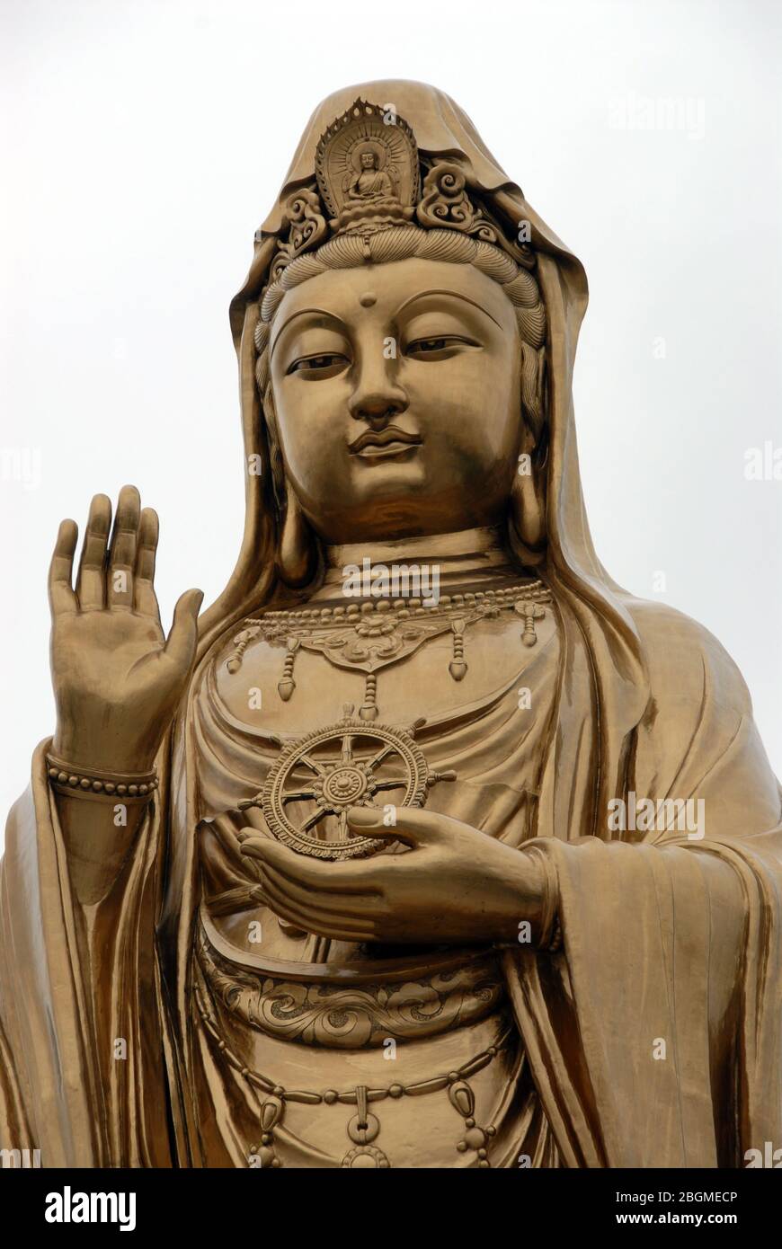 Longwan hi-res stock photography and images - Alamy