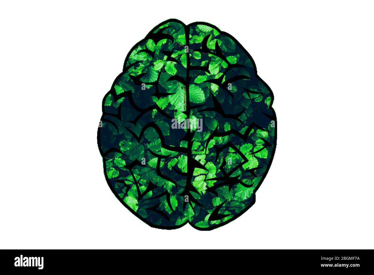 Human made and natural environment Cut Out Stock Images & Pictures - Alamy