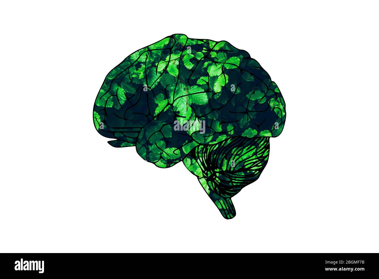 Human head symbol made Cut Out Stock Images & Pictures - Alamy