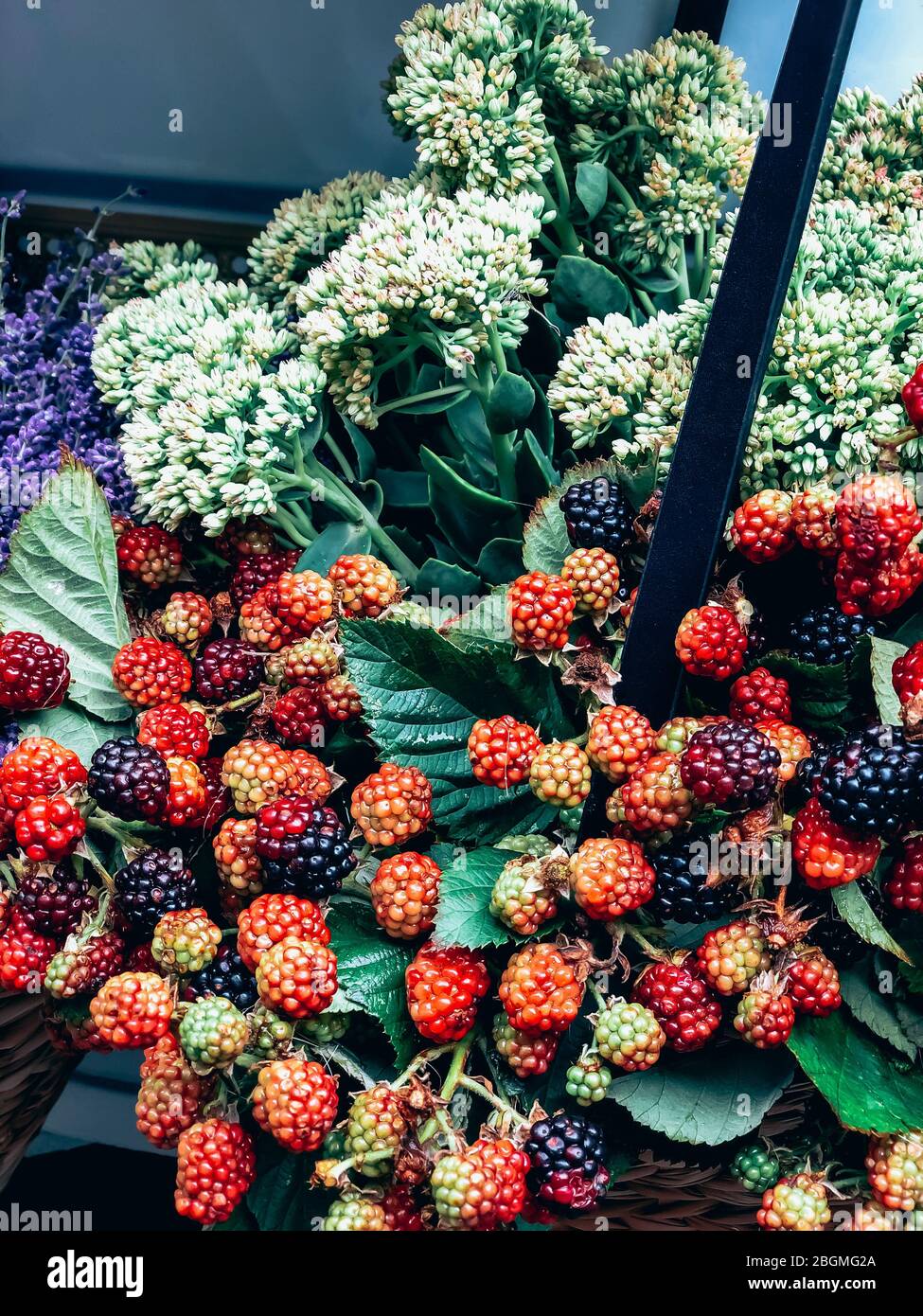 Decorative greenery hi-res stock photography and images - Alamy