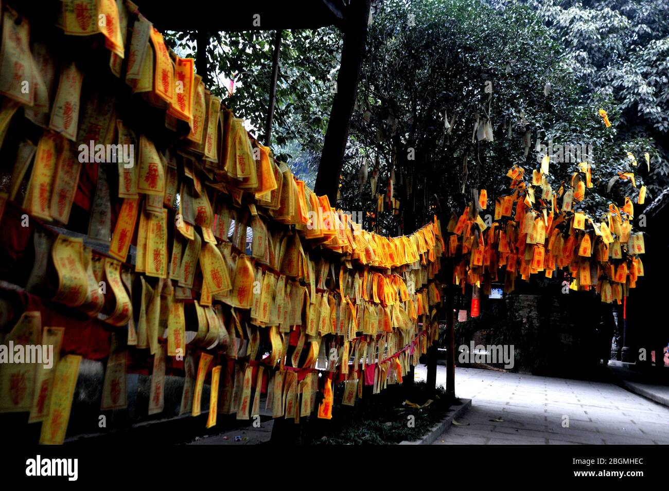 Blessing tree hi-res stock photography and images - Alamy