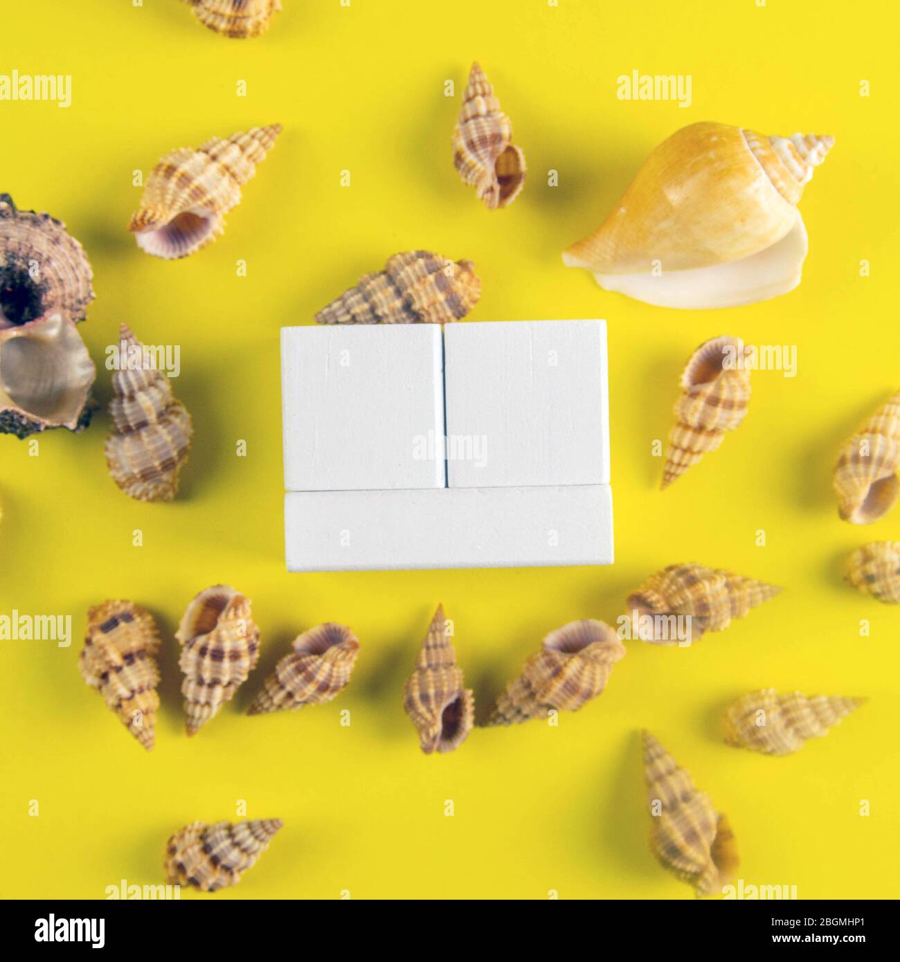 Build up of shells hi-res stock photography and images - Alamy