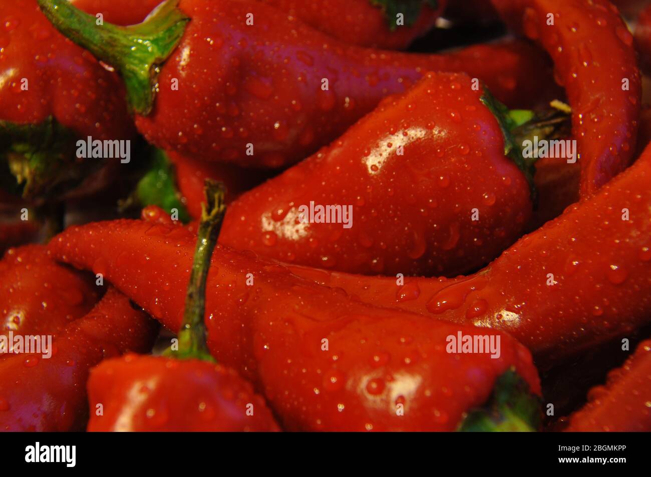Hot pepper. Pods red vegetables, spicy Stock Photo - Alamy