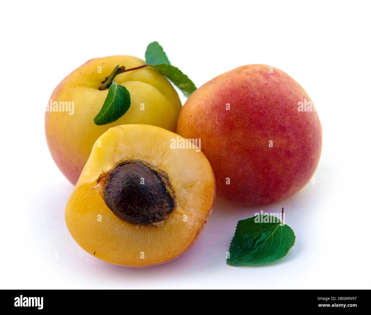 Isolated apricot. Fresh cut apricot fruits isolated on white background ...