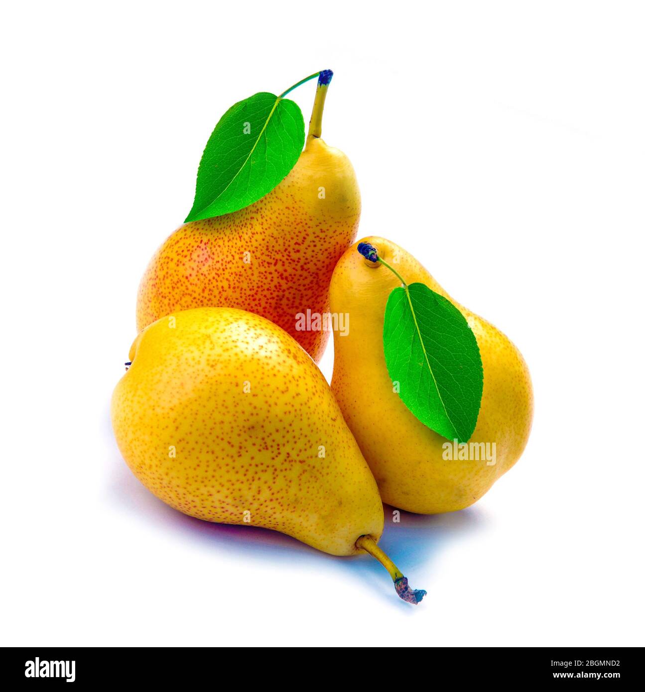 fresh single pear with leaf isolated on white background Stock Photo ...
