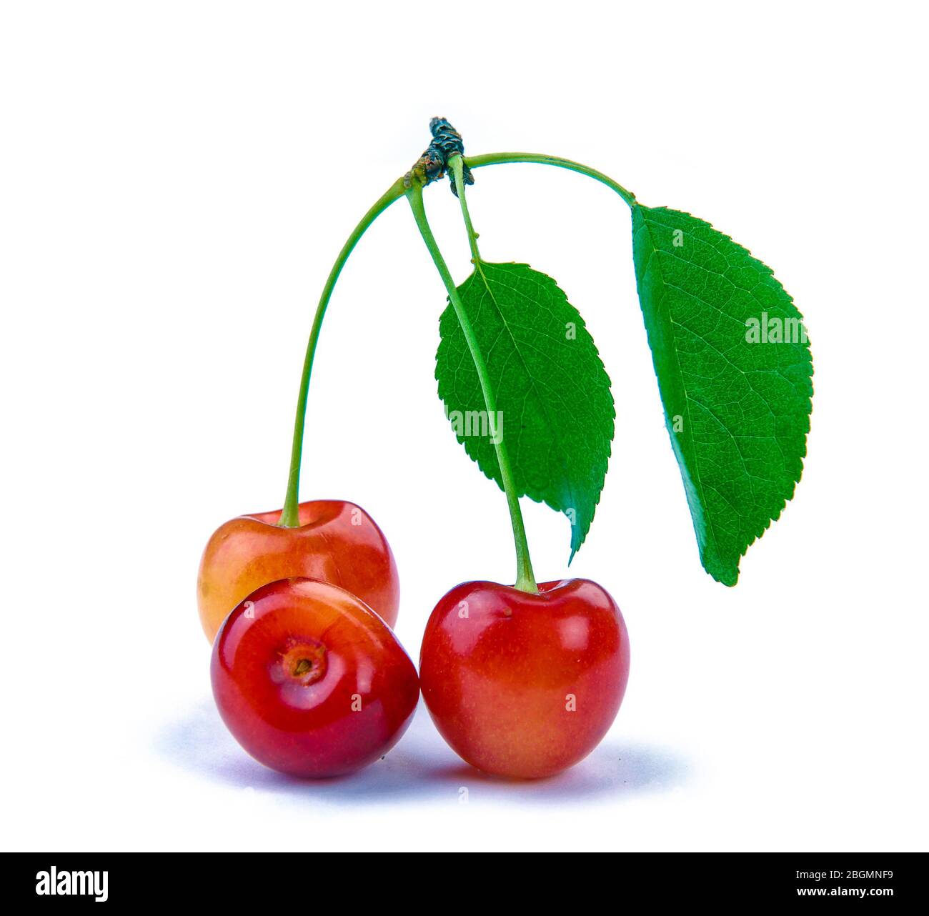 Sweet red cherries with leaves isolated on white background macro Stock ...