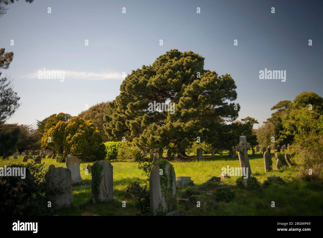 Broadwater Cemetery, Worthing, West Sussex, UK Stock Photo - Alamy