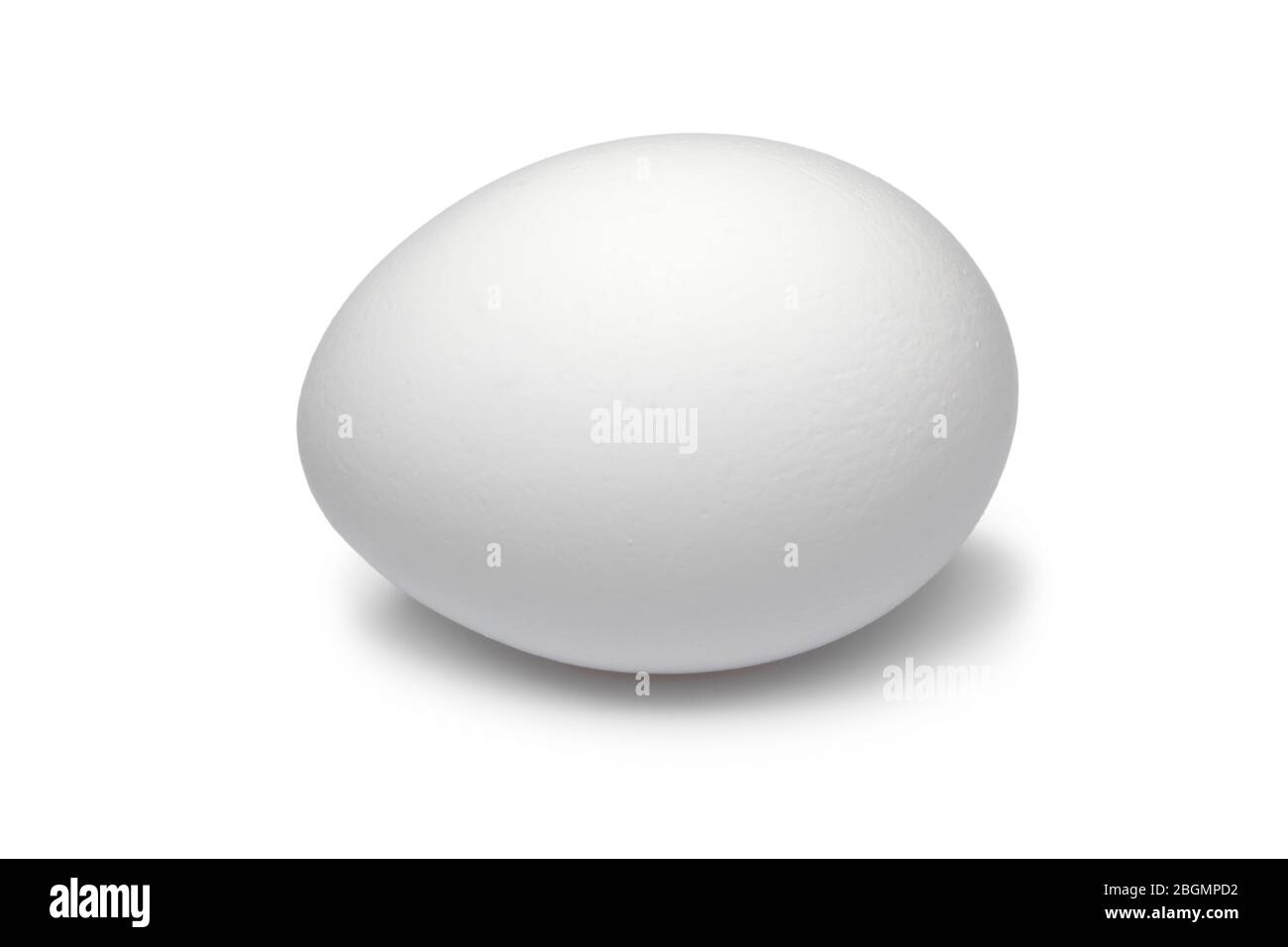 Single fresh white chicken egg close up isolated on white background ...